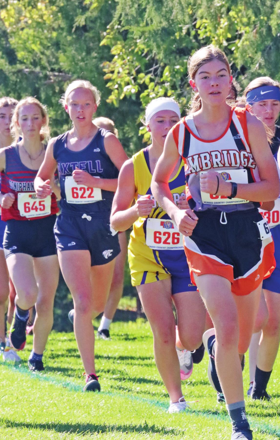 Local athletes compete at State Cross Country | The Valley Voice